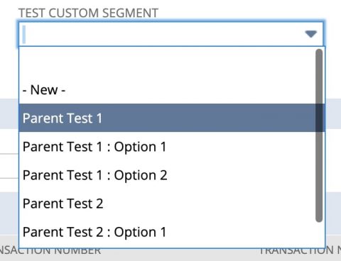 What is a Custom Segment? | SuiteRep