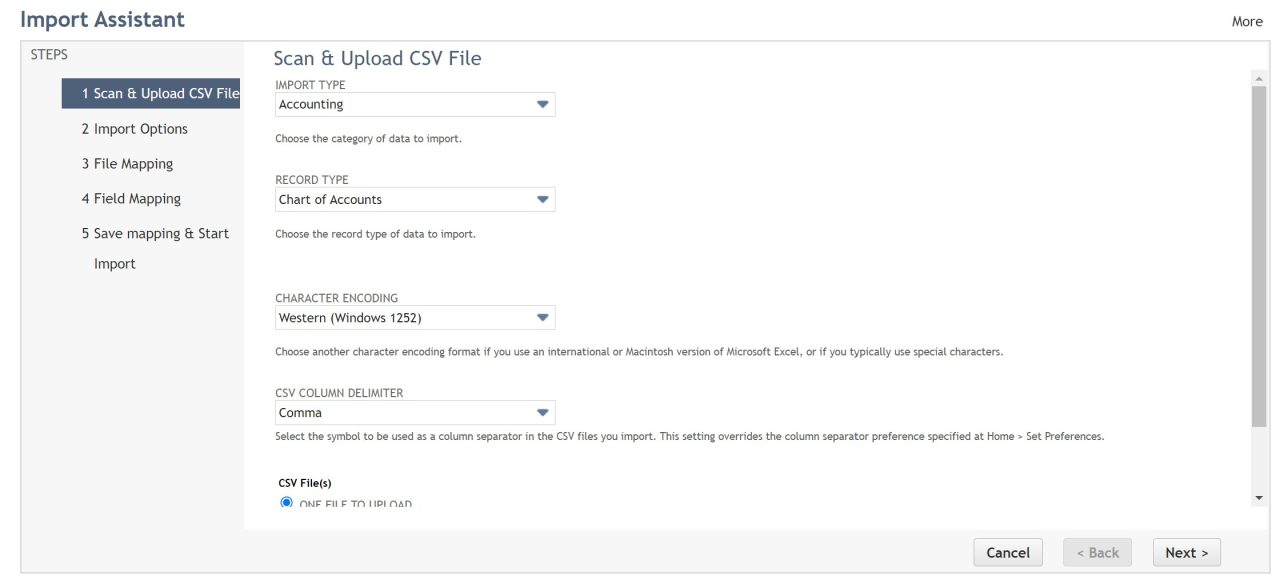 The NetSuite Chart of Accounts | SuiteRep